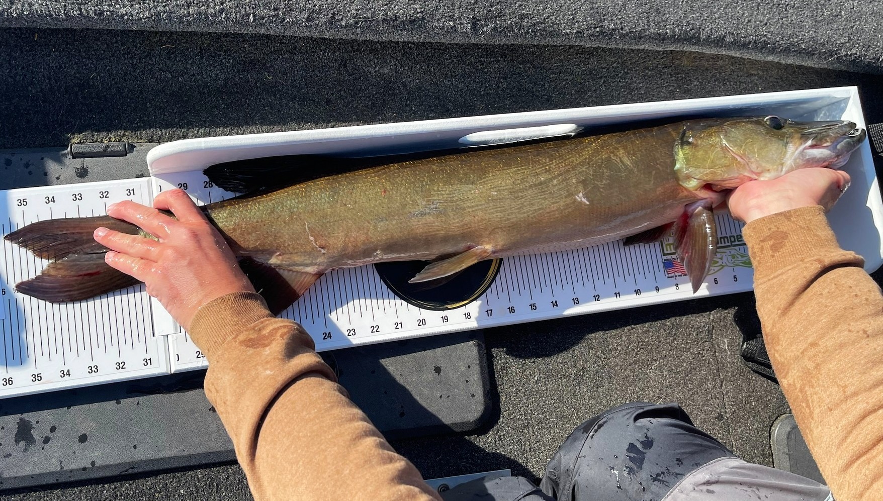 Fishing Contest – Musky Festival: June 20-22, 2025 – Hayward, WI ...